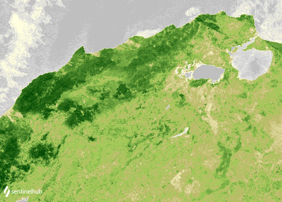 Landsat 1 5 MSS NDVI Sentinel Hub Custom Scripts